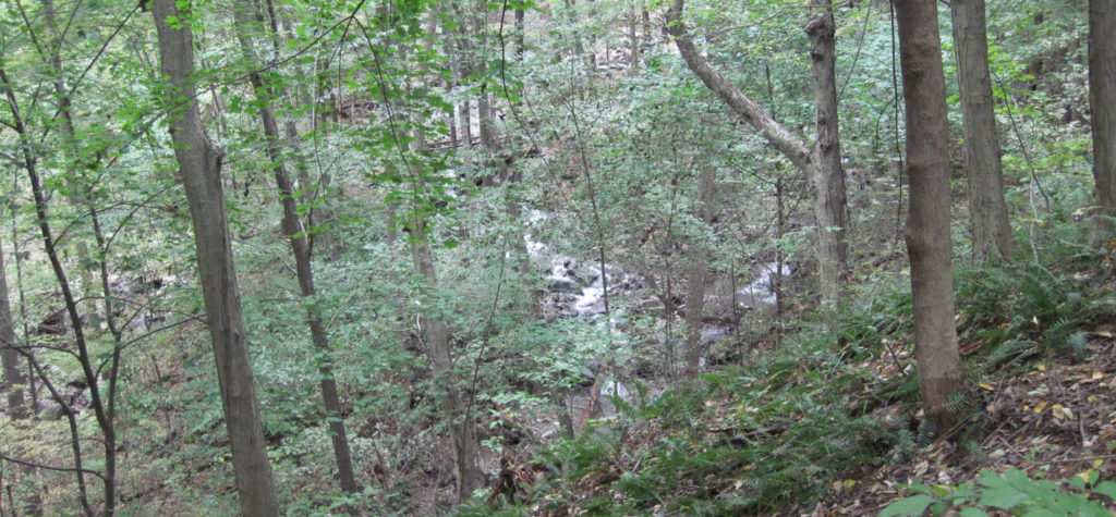 Musconetcong Gorge Preserve
