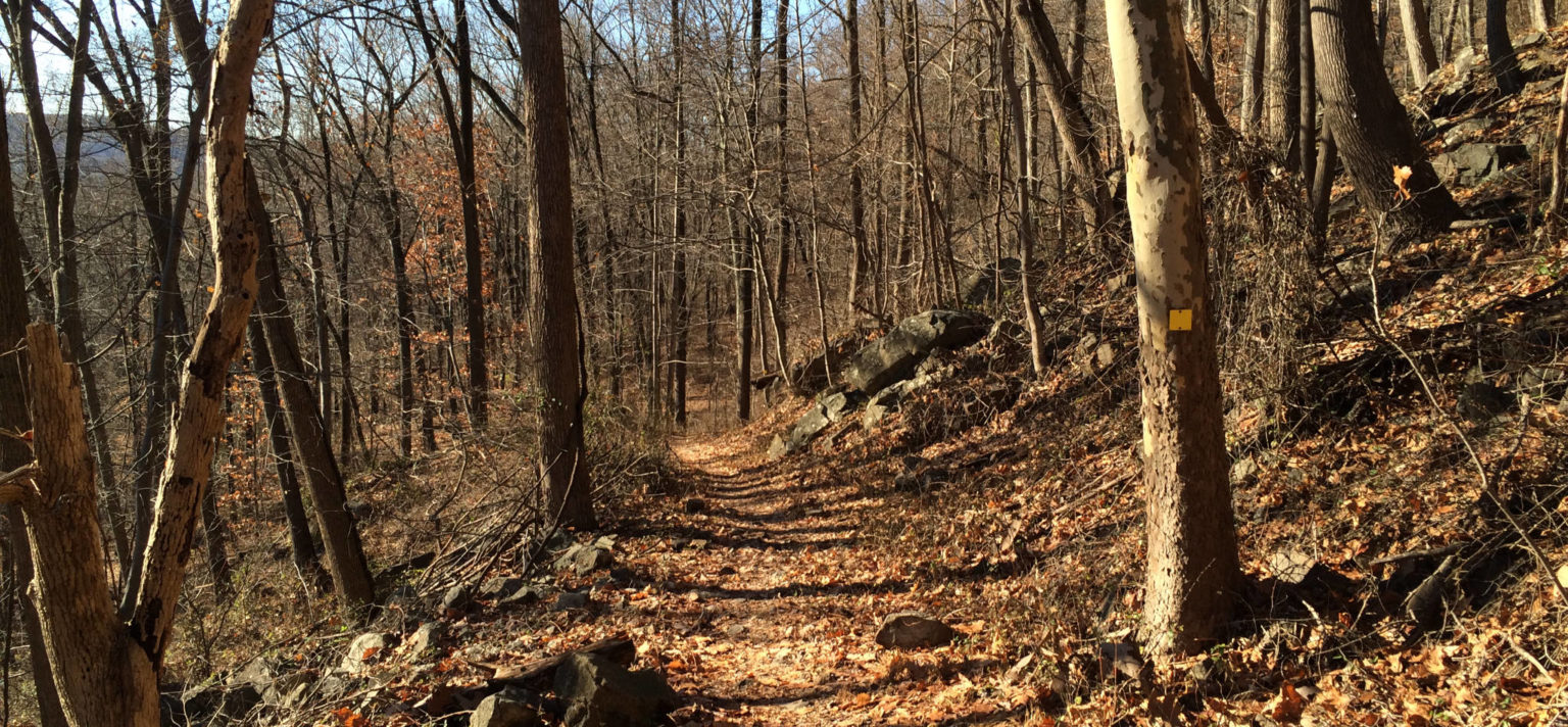 Baldpate Mtn: Switchback Trail