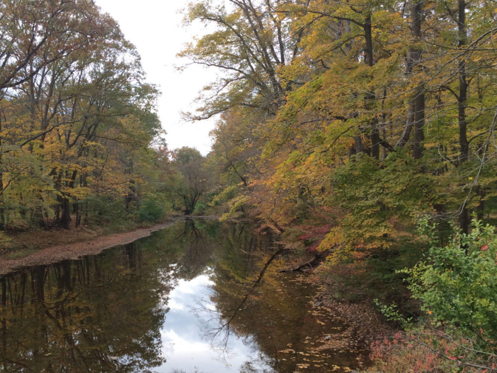 Stony Brook Trail | Hiking | Princeton | Hidden Trenton