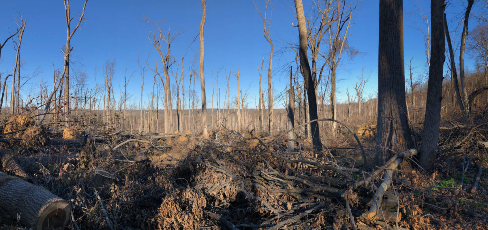 Baldpate's Switchback and NW Loop Trails Reopen